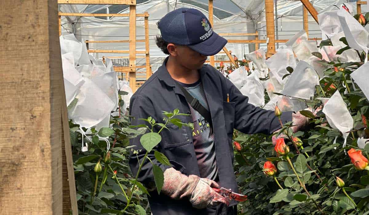 Horas extra en Colombia: Este es el máximo permitido por día