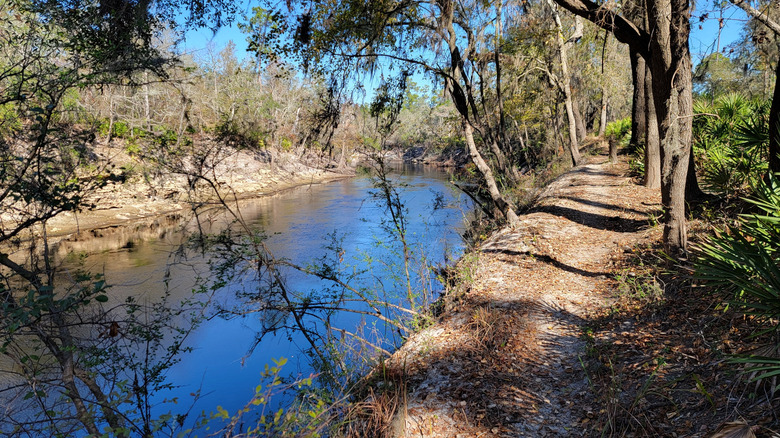 This Historic Florida State Park Offers Miles Of Scenic Hiking And ...