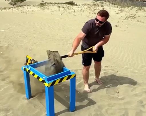 Crafting a unique phone case from beach treasures