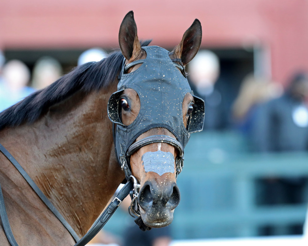 Nitrogen puts in 'perfect' breeze at Oaklawn for Apple Blossom Handicap