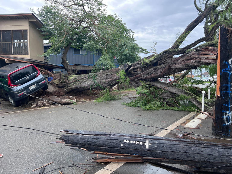 Downed trees, power outages from powerful winds reported across Hawaii