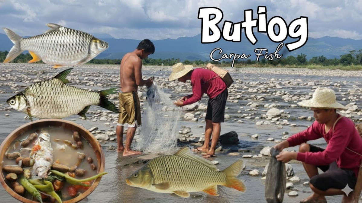 Catch and cook carp fish | A slice of countryside life