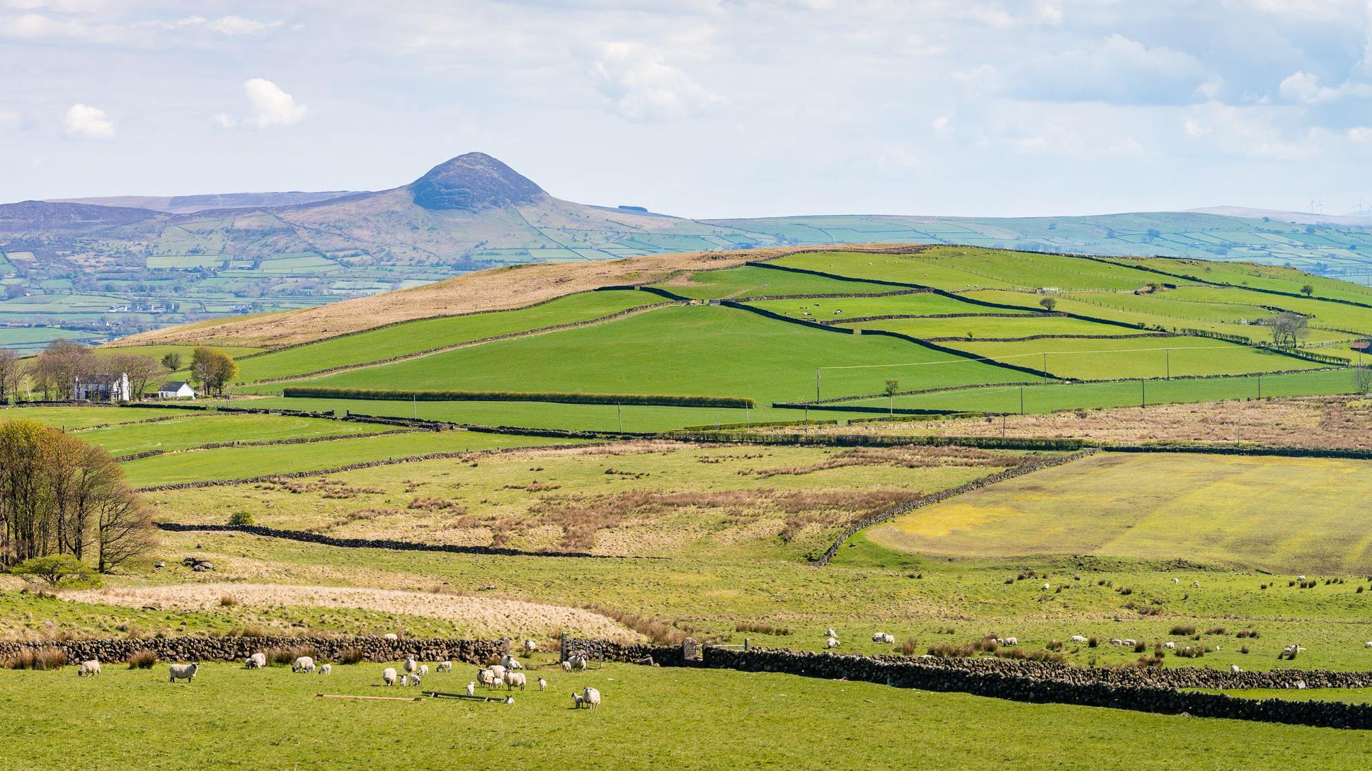 Average price for acre of land exceeds £15k in NI