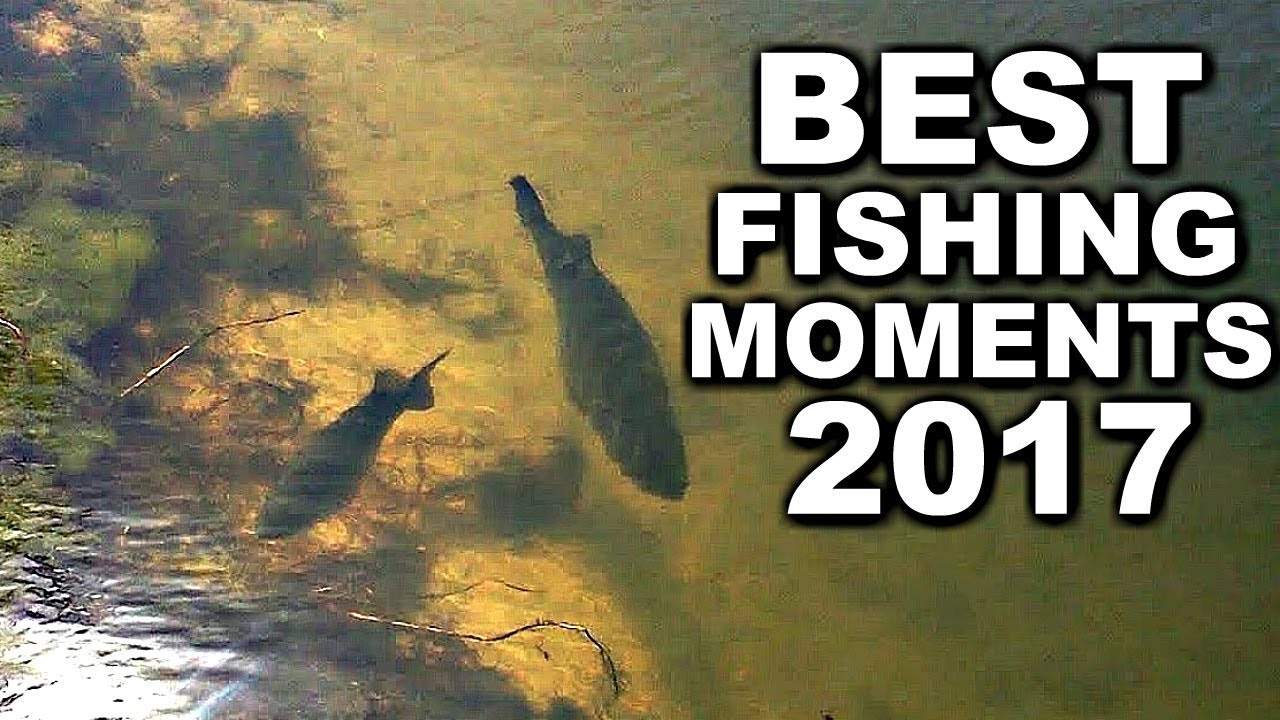 Top five fishing moments of 2017 highlight angler success