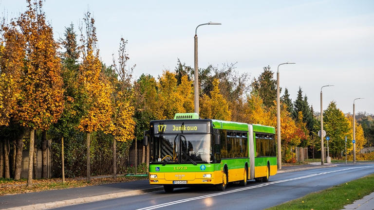 Ten autobus to legenda poznańskich ulic. Dziś 18-metrowy rodzynek ma ...