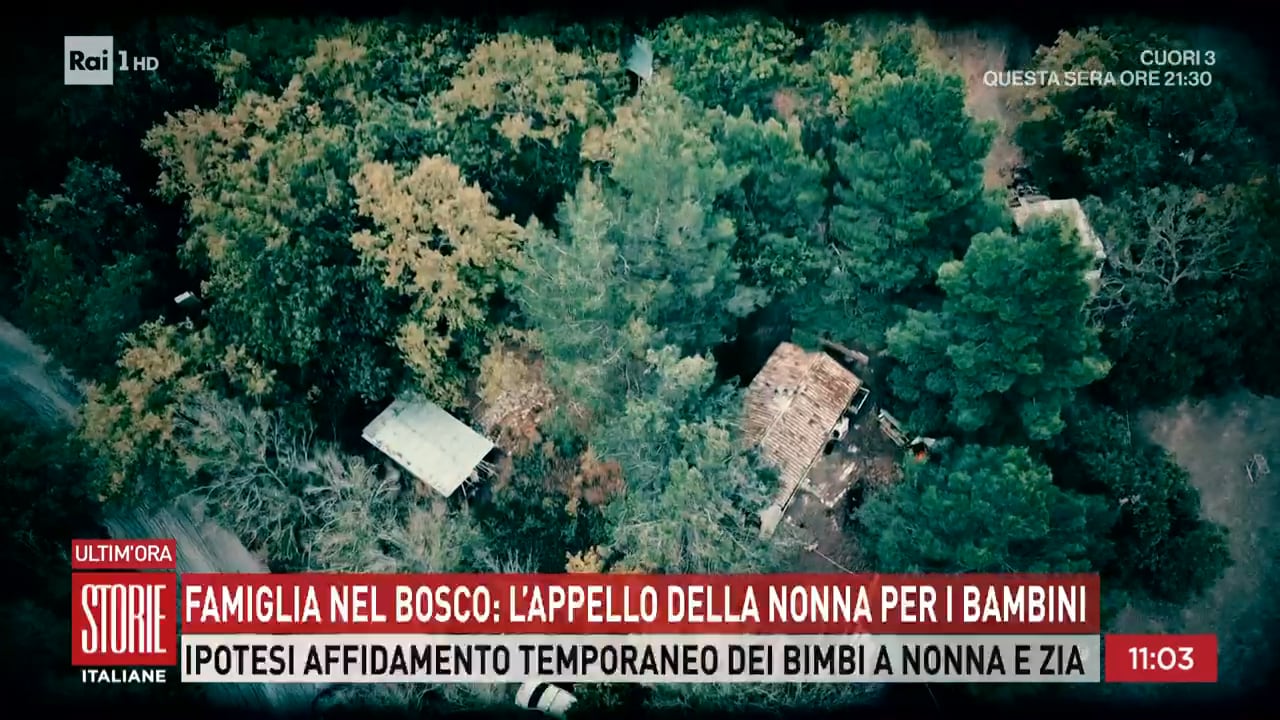 Famiglia nel bosco: l'appello della nonna per i bambini - Storie ...