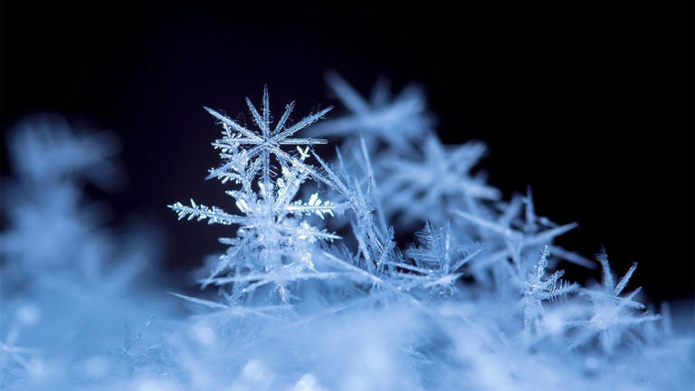 Weather and science shape every snowflake. Here's how.