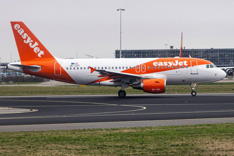 EasyJet flight turned back due to bird strike 'outside of our control ...