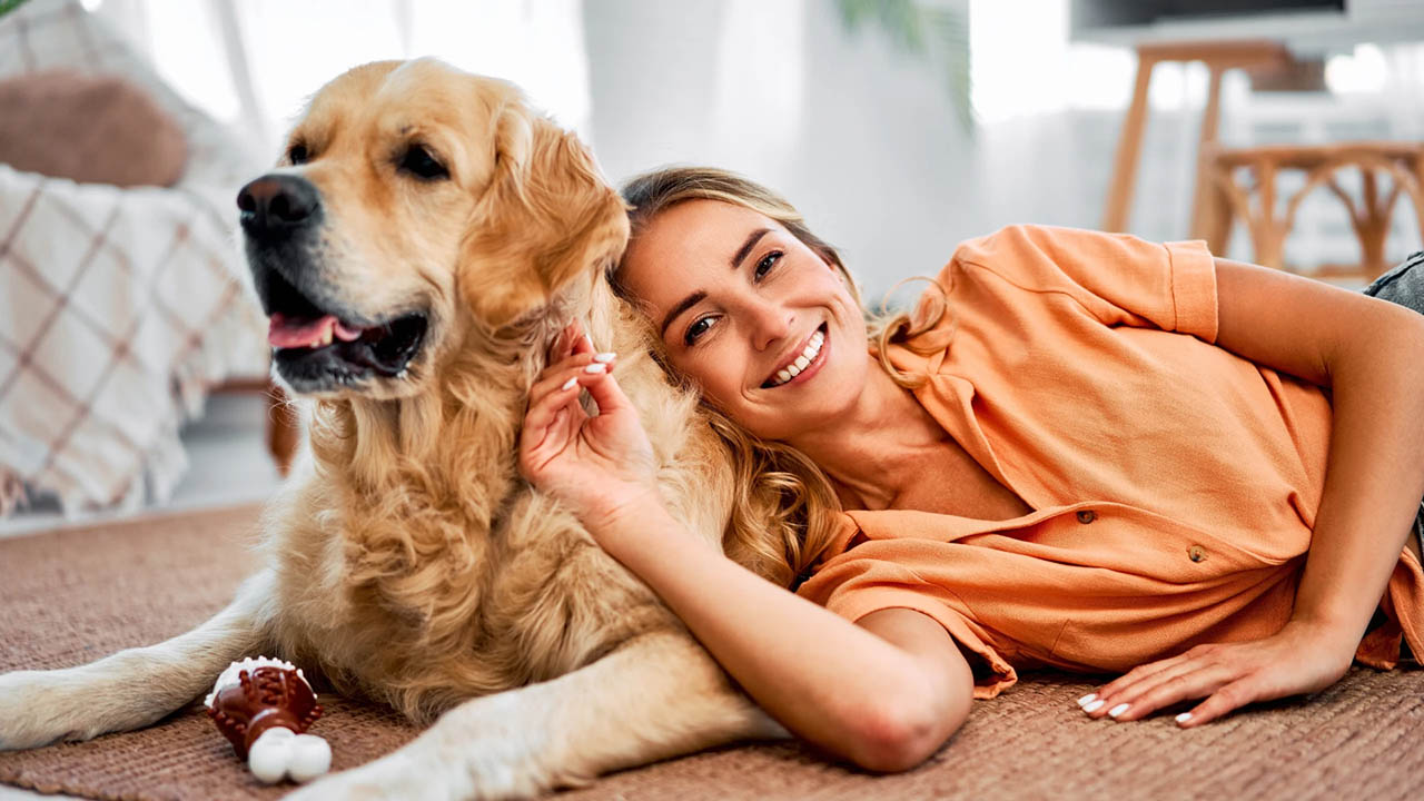 Why female dogs pay closer attention to their owners than males do