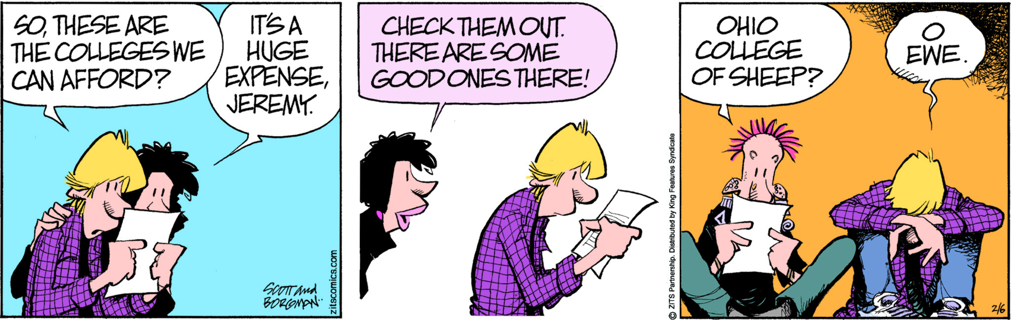 Zits by Jerry Scott and Jim Borgman