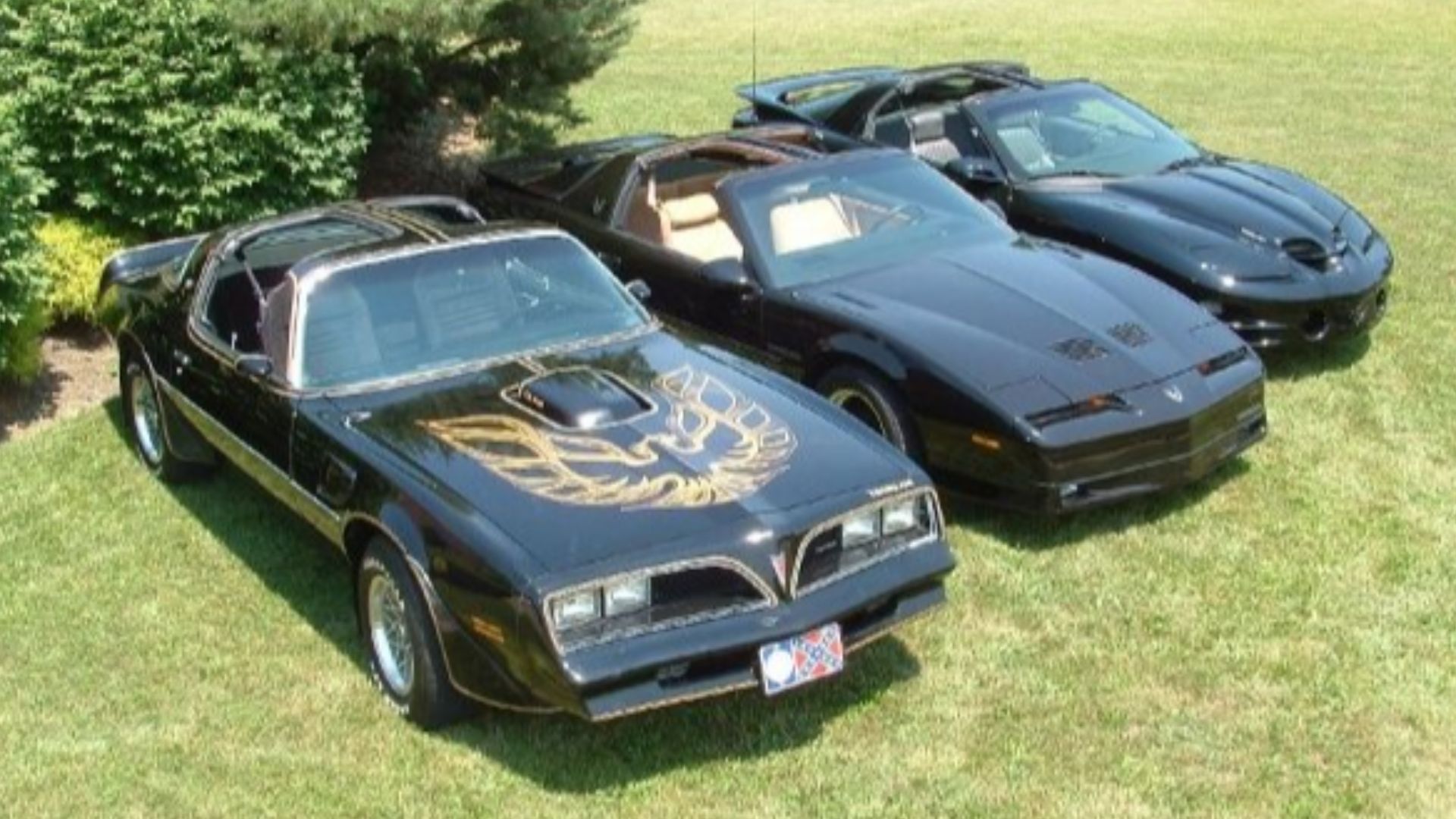Trans Am Screaming Chicken