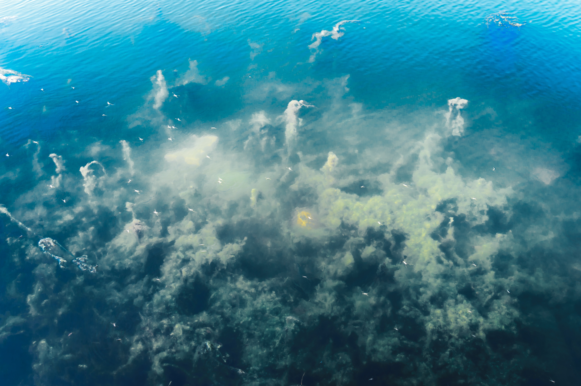 The strangest things ever found at the bottom of the ocean