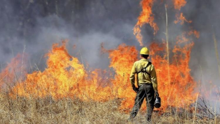 Prescribed burns scheduled at Camp Bullis through Feb. 22