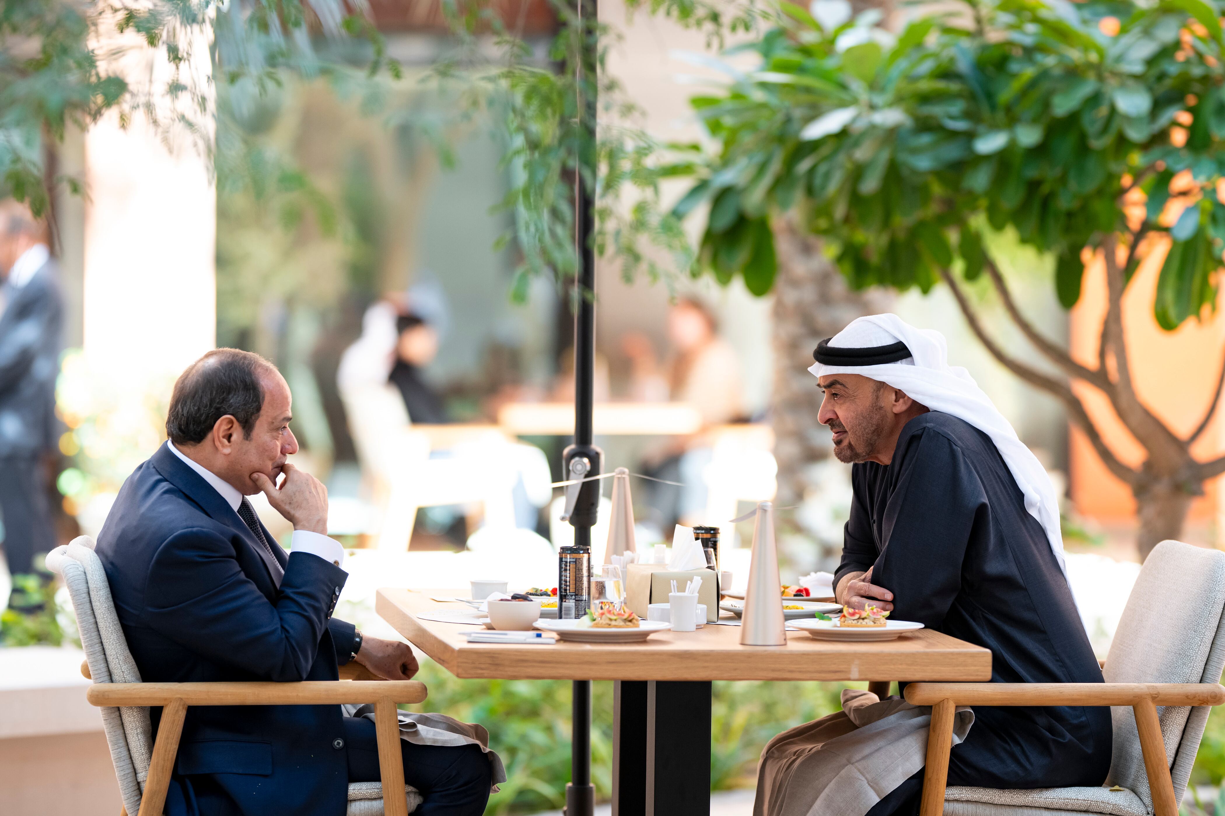 President Sheikh Mohamed discusses Gaza peace with Egypt's El Sisi