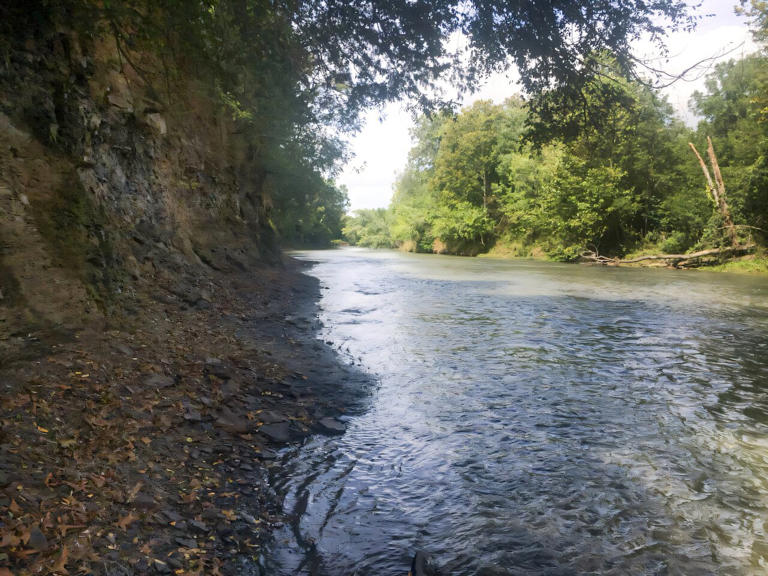 How an ancient seafloor turned Arkansas into 'Sharkansas,' a shark ...
