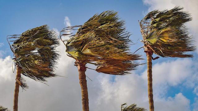 El fuerte viento pone en alerta este viernes a varios puntos de la región