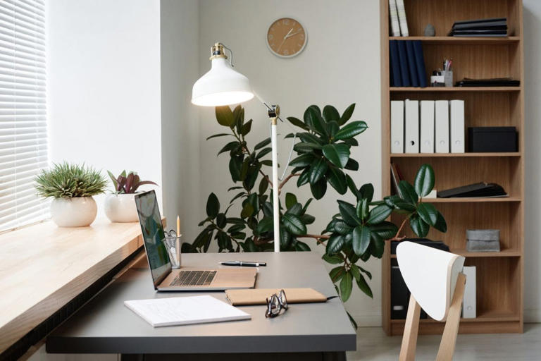 40 companies that provide equipment for remote workers