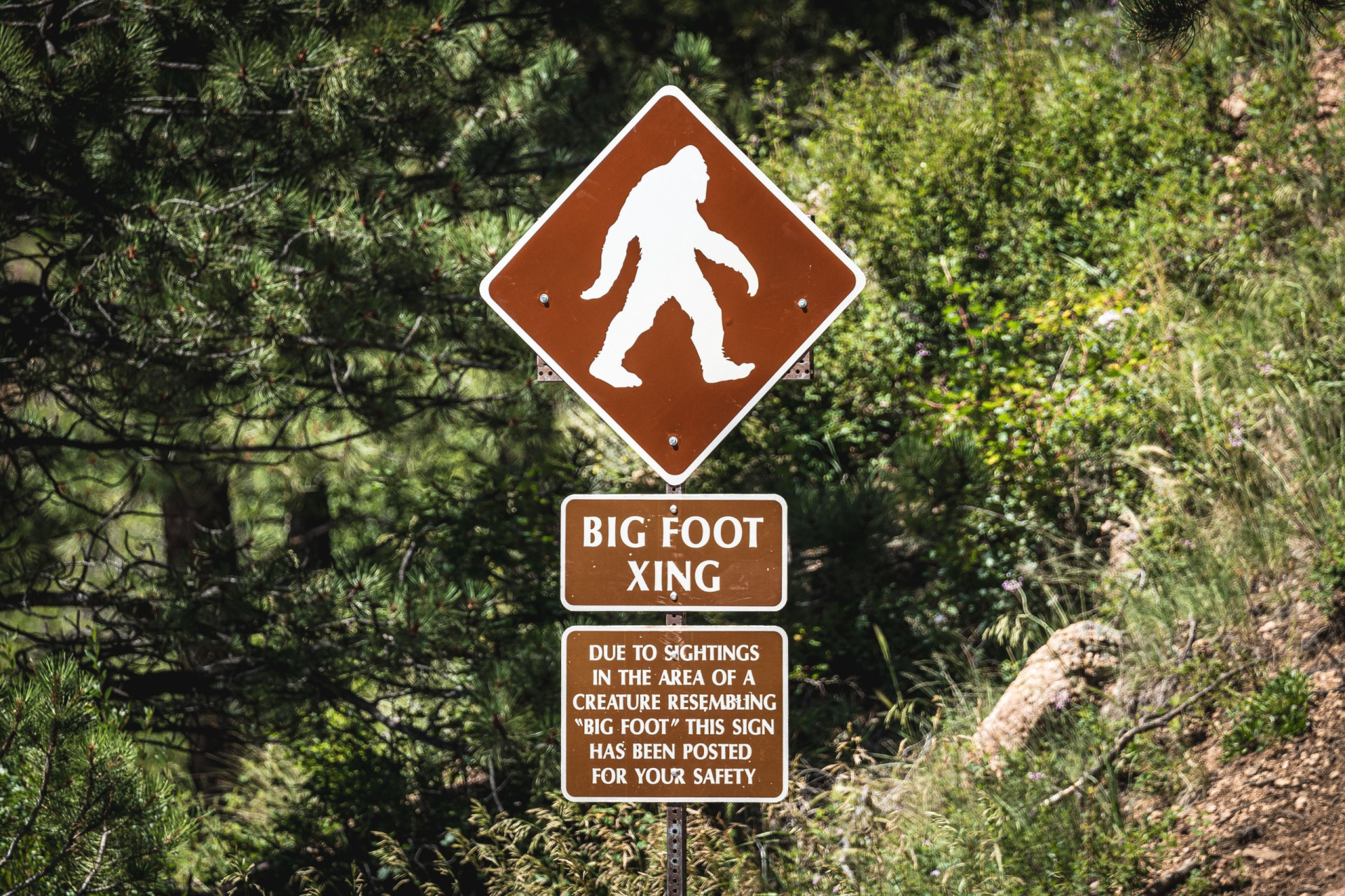 From folklore to the FBI: The strange history of Bigfoot