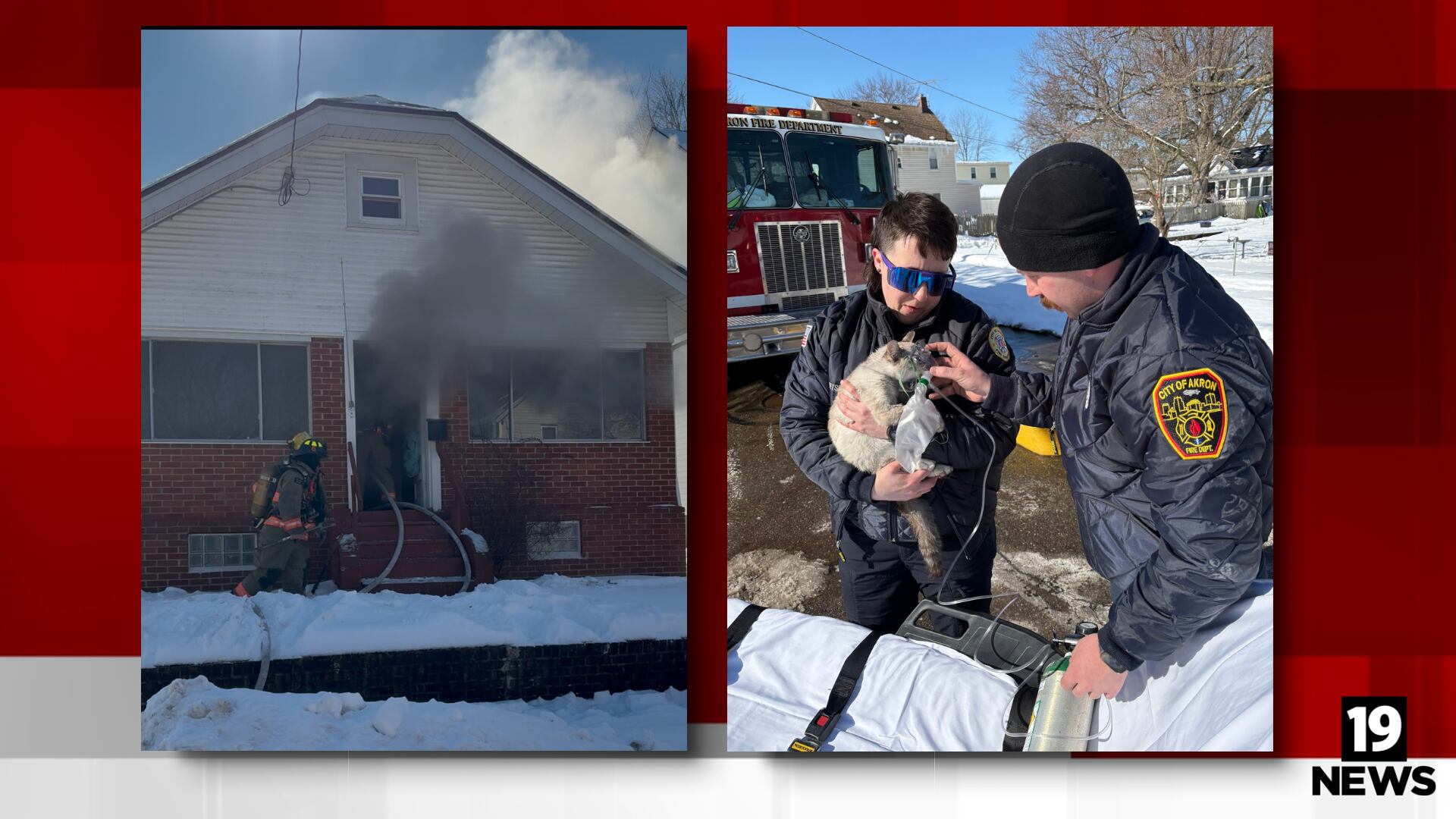 5 dogs and 1 cat rescued from Akron house fire as closest hydrant was ...