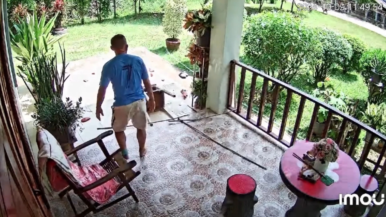 Dog knocks over stool, shattering pot in security camera footage