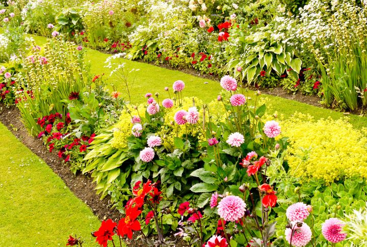 15 awesome ideas for pretty-looking flower beds