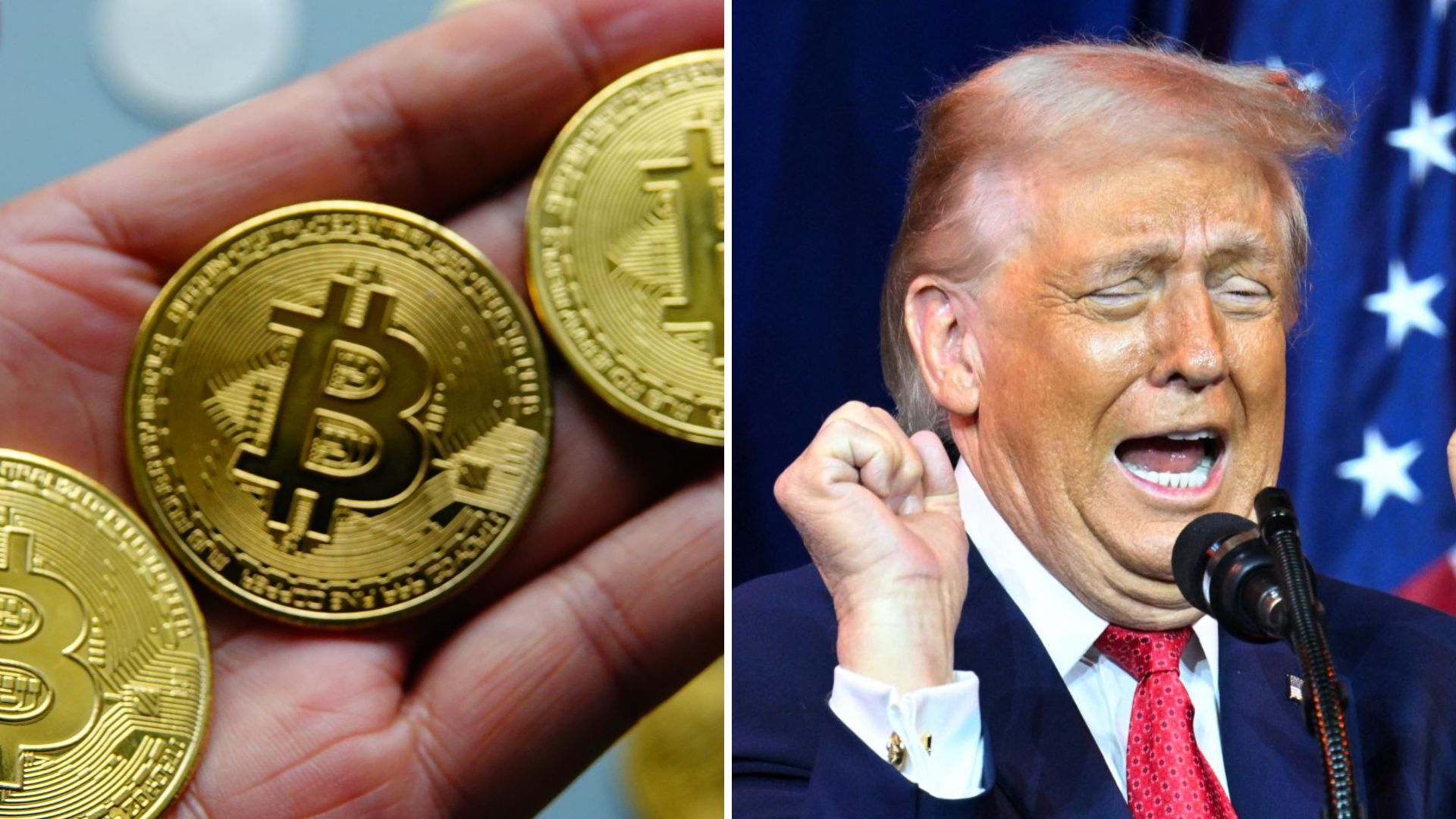 Bitcoin dropped 44% as Trump-fueled election gains collapse