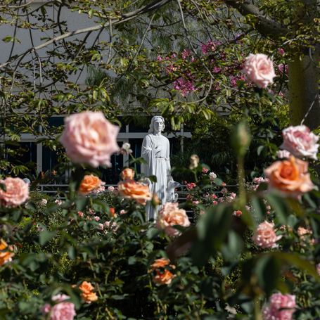 Best things to do this week in LA and SoCal: Feb. 9-12