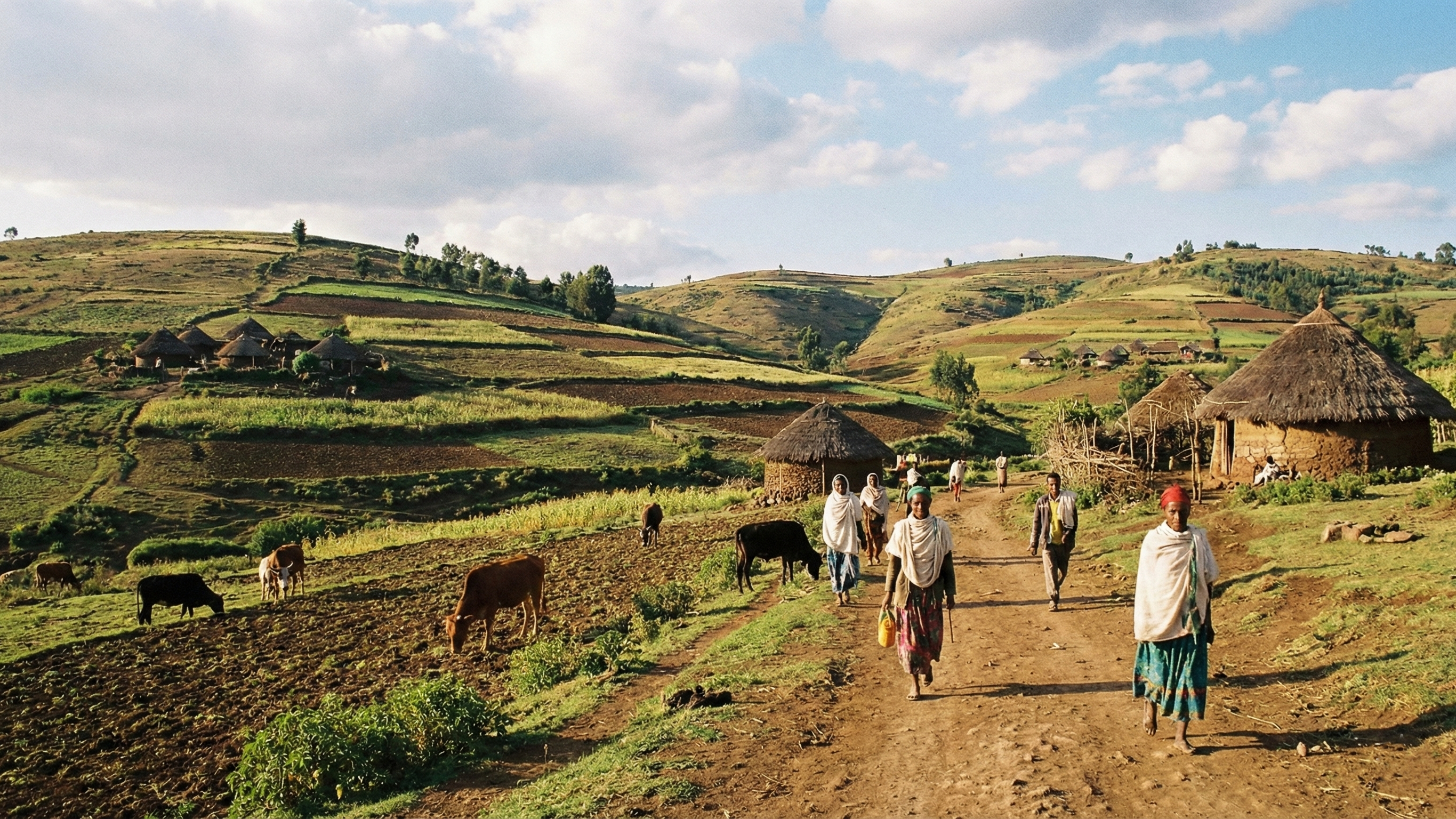 The rare African success story nobody talks about