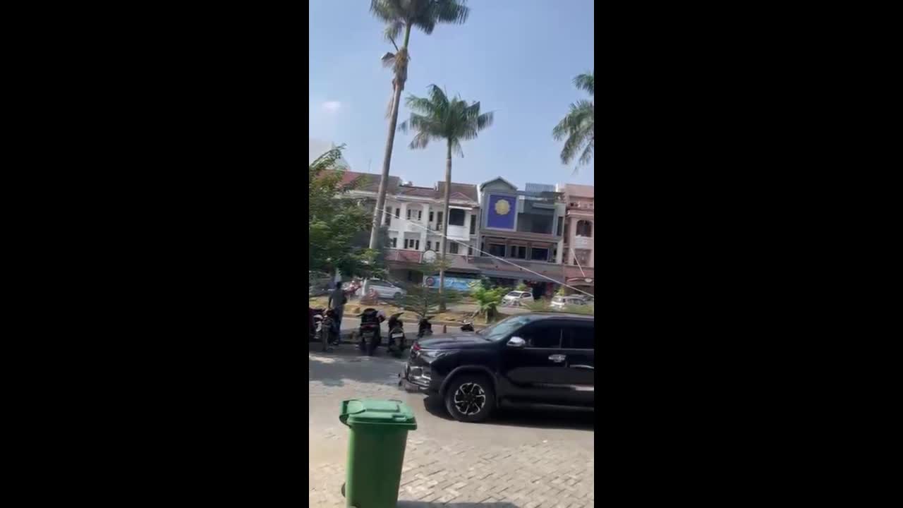 Falling coconut tree narrowly misses vehicles in Medan, North Sumatra ...