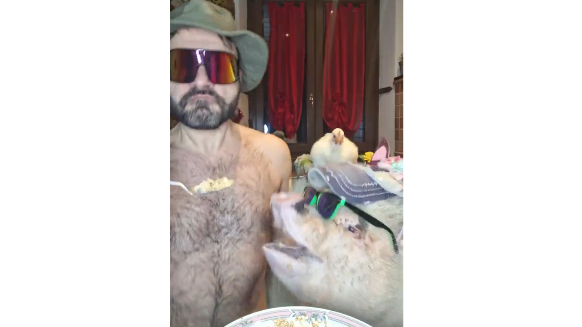This man and his pets bring all the energy