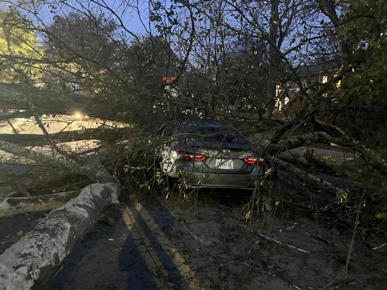 Large tree falls across Ponce de Leon Avenue, traps car under branches