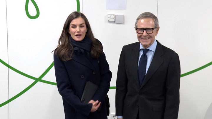 La reina Letizia planta cara a la nevada en Madrid con un abrigo de ...