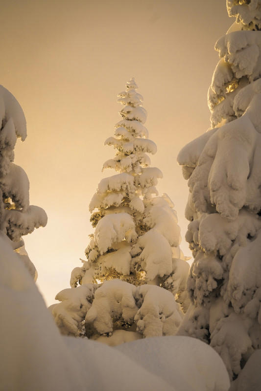 More snow than Utah: Remembering Vermont's epic ski season of 24/25