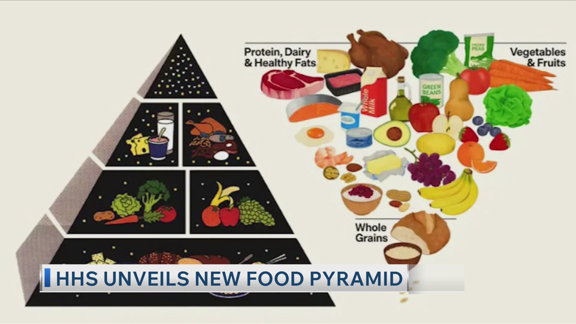 HHS unveils new food pyramid