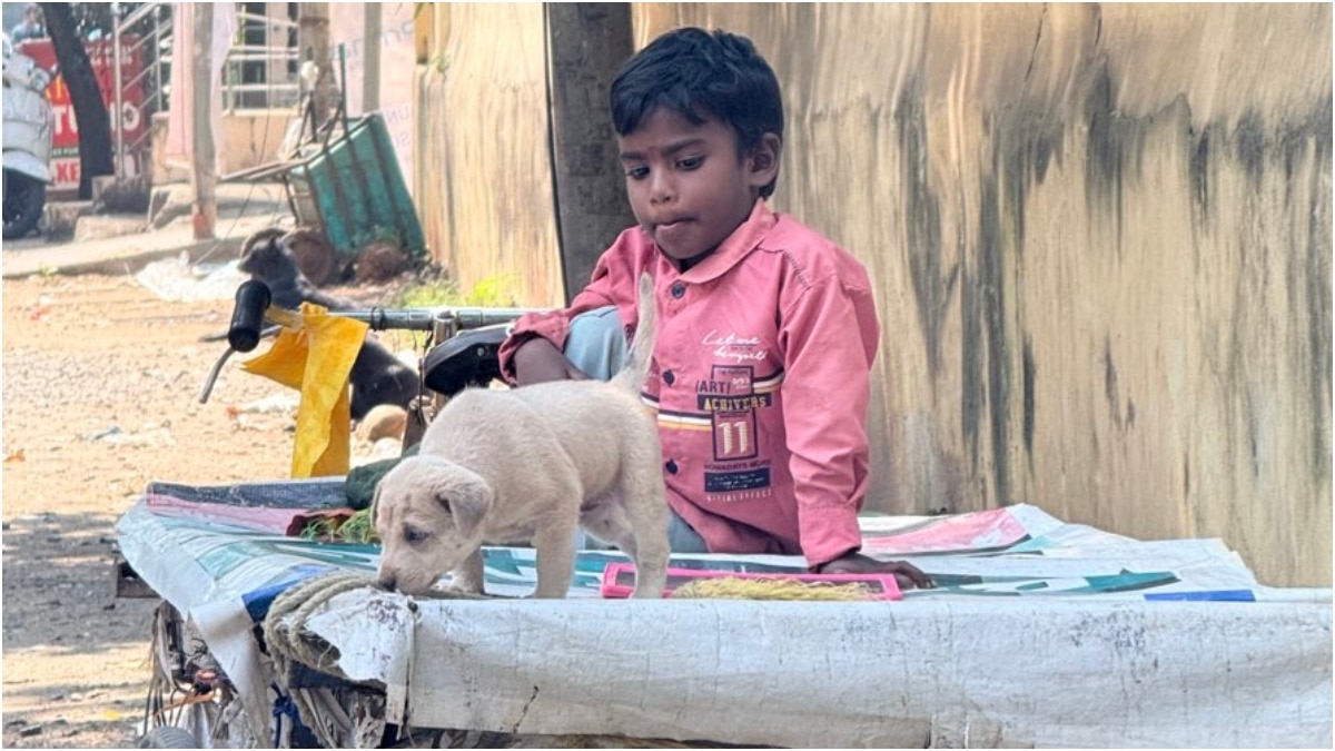 Little boy's act of feeding puppy first teaches internet a lesson in ...