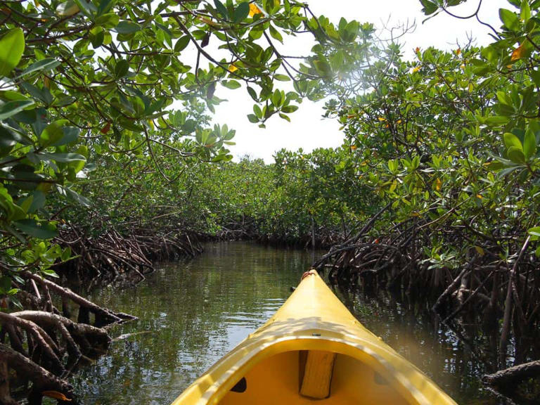 21 fun things to do in Manuel Antonio with kids