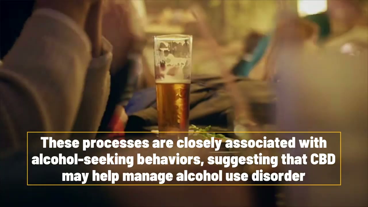 CBD could help manage symptoms of alcohol use disorder
