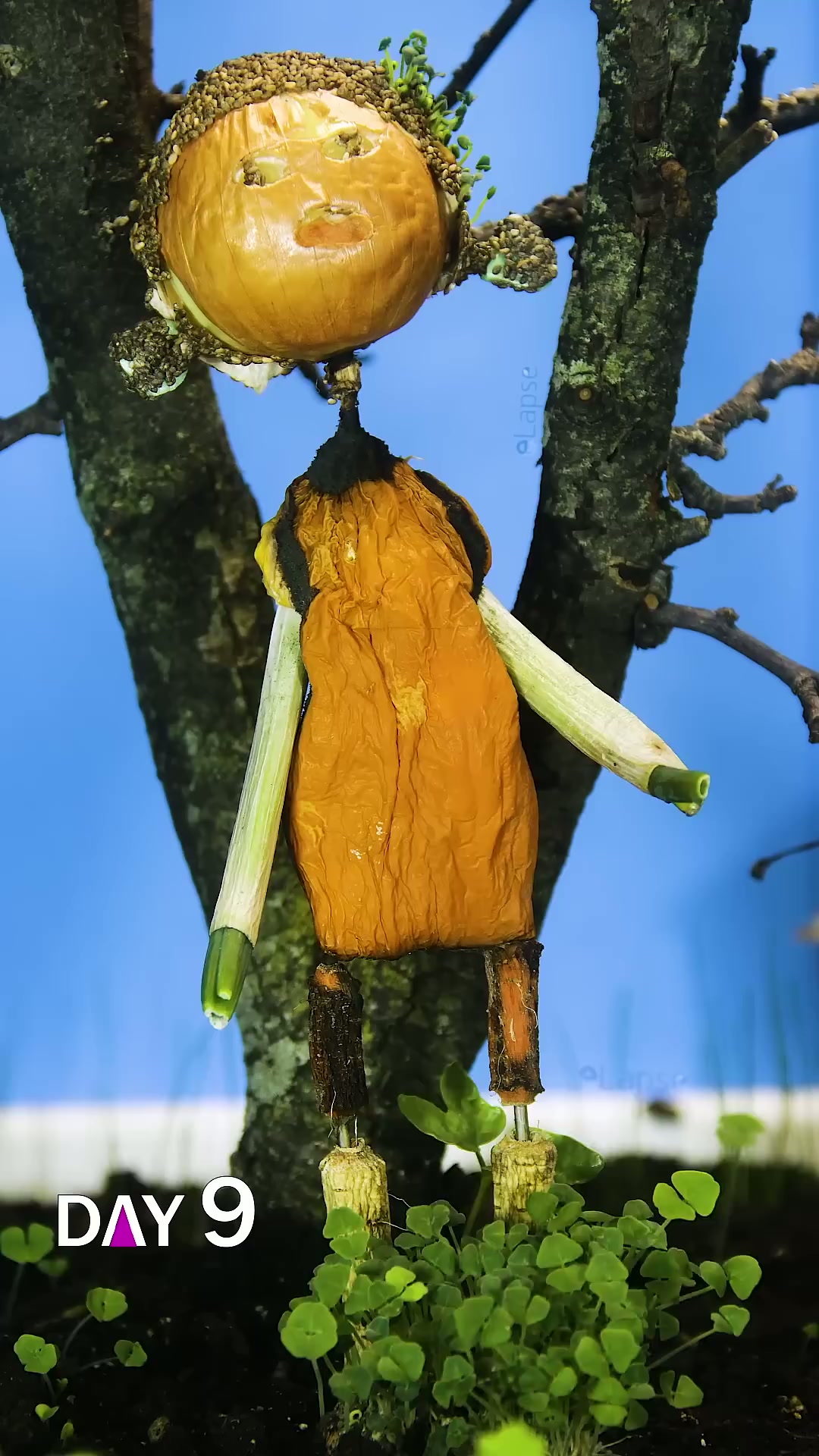 Young-Hee in time-lapse game