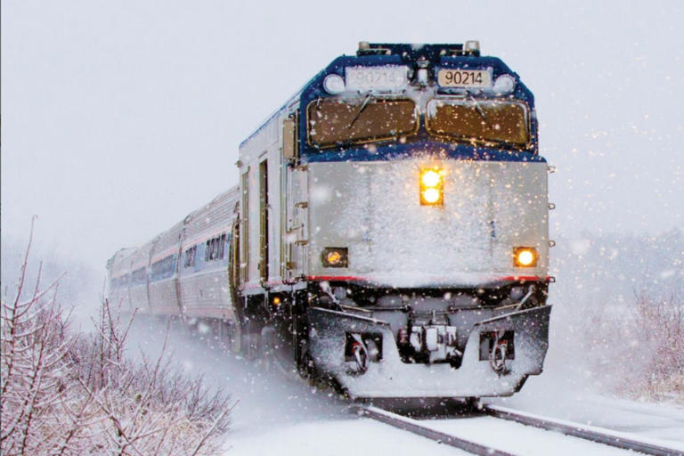 What would expats bring back to South Africa if they could?