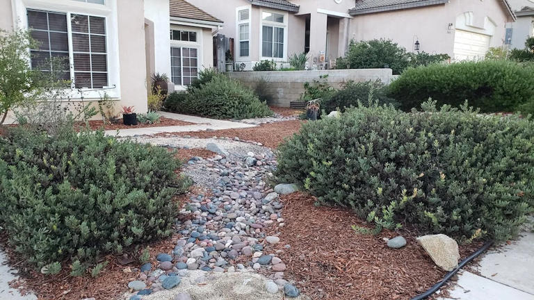 Homeowner shares photos after building money-saving yard feature ...