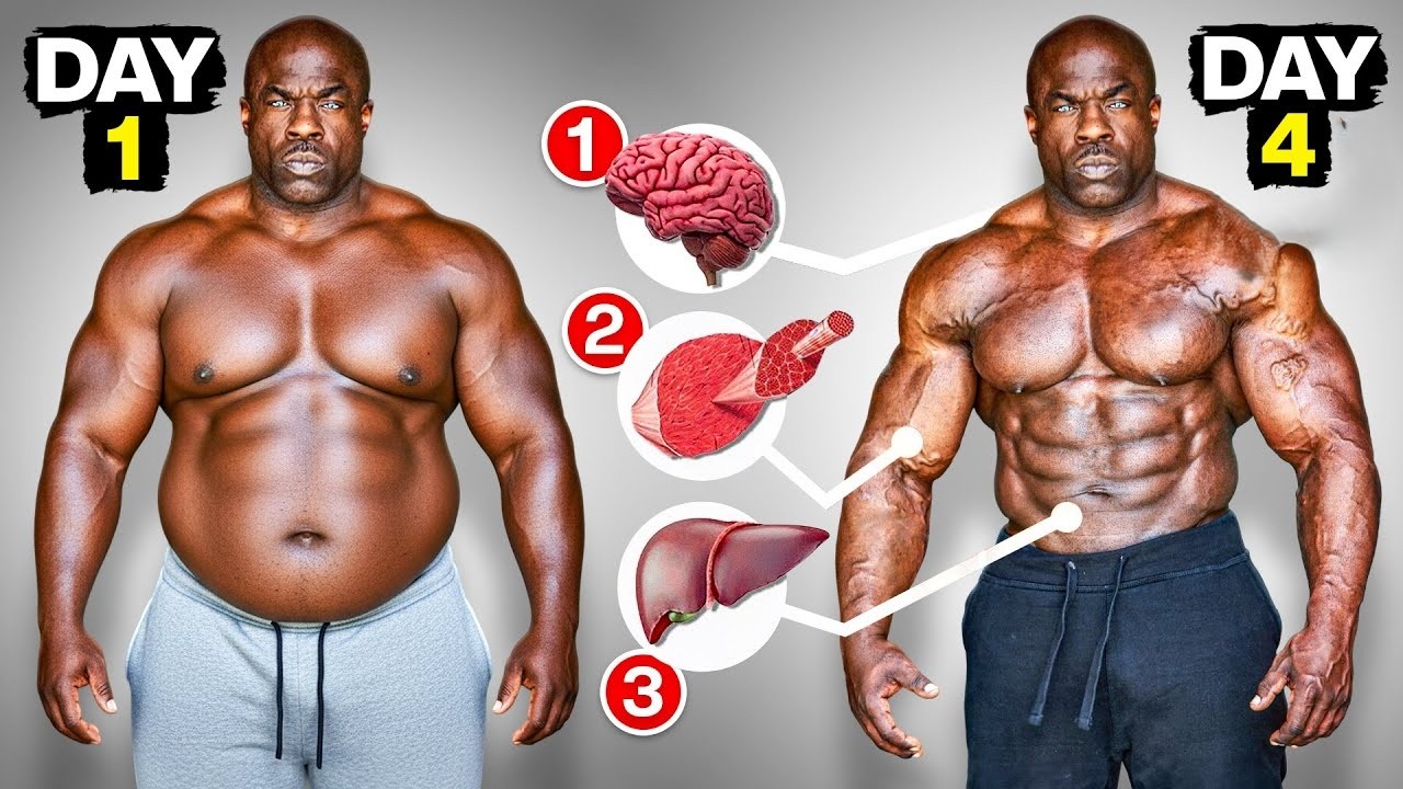 What happens to your body after 4 days without food