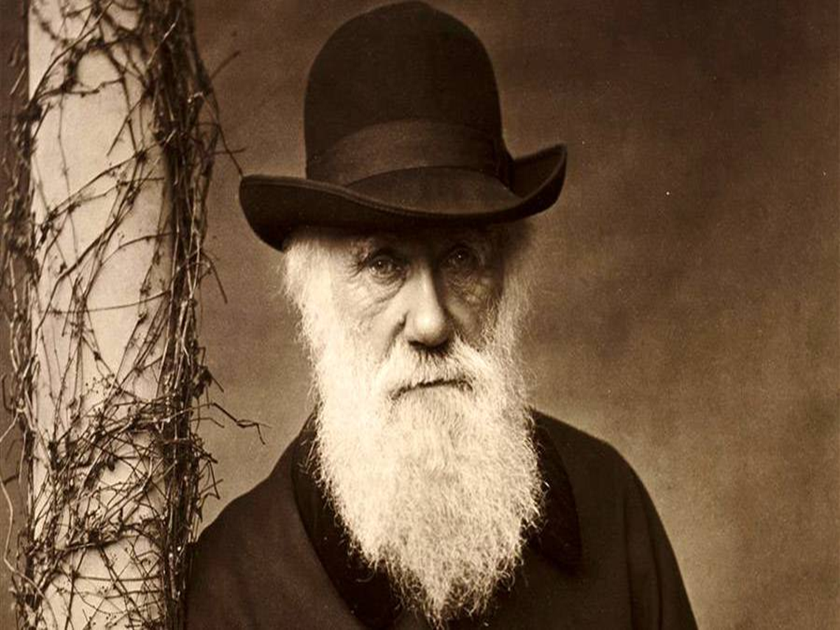 Thought of the day by Charles Darwin: 'We stopped looking for monsters ...