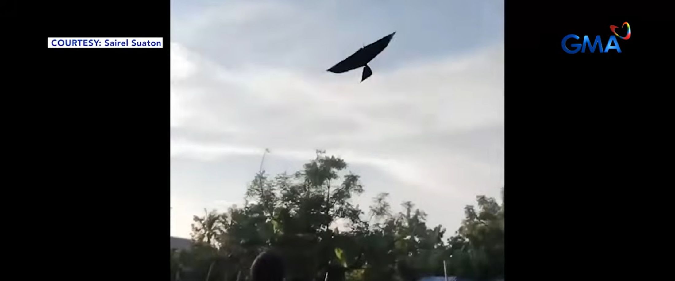 Inspired by flying objects, man in Cebu creates remote-controlled toy bird