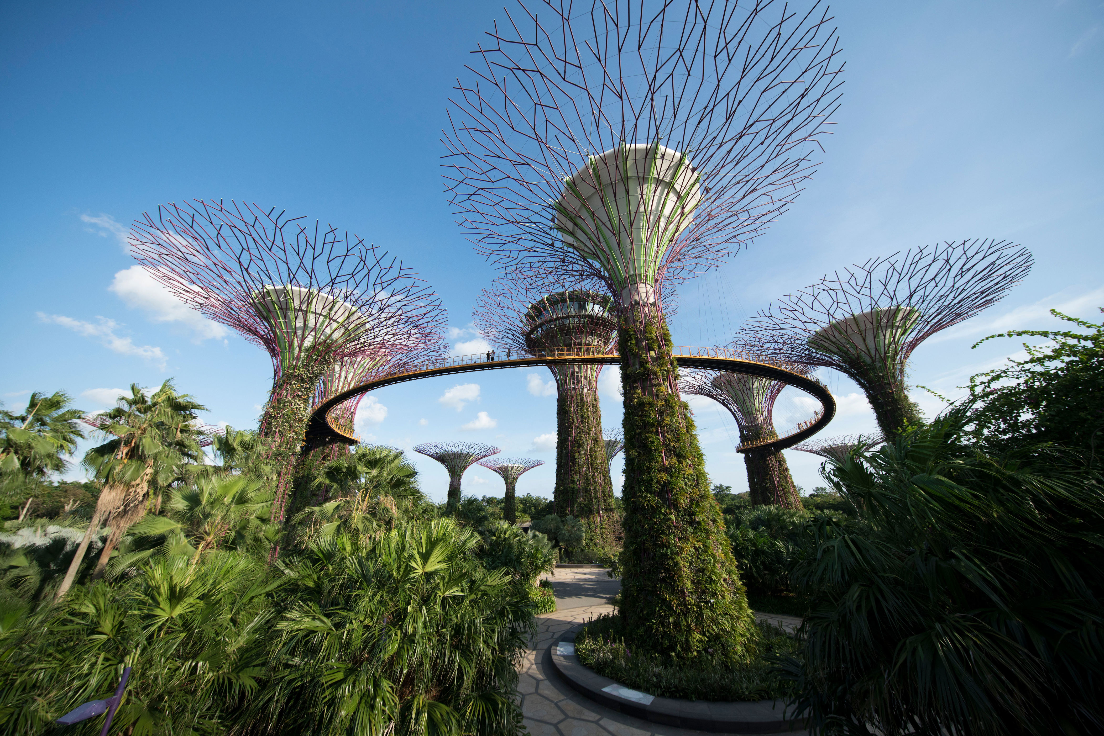 Sustainable architecture is more needed than ever—here’s what it ...