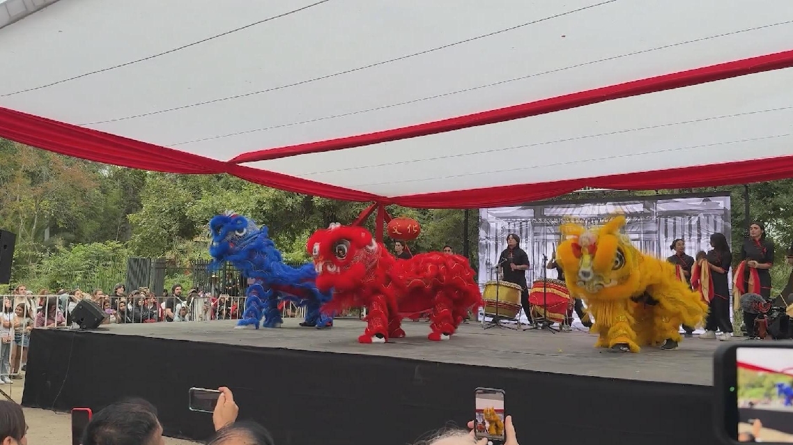 Chile - fiesta de la primavera/celebraciones