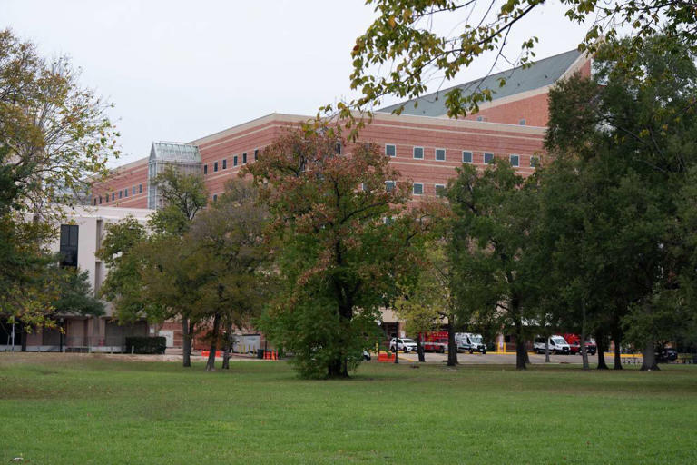 Ben Taub Hospital vs. Hermann Park? Houston deserves a win-win. | Editorial