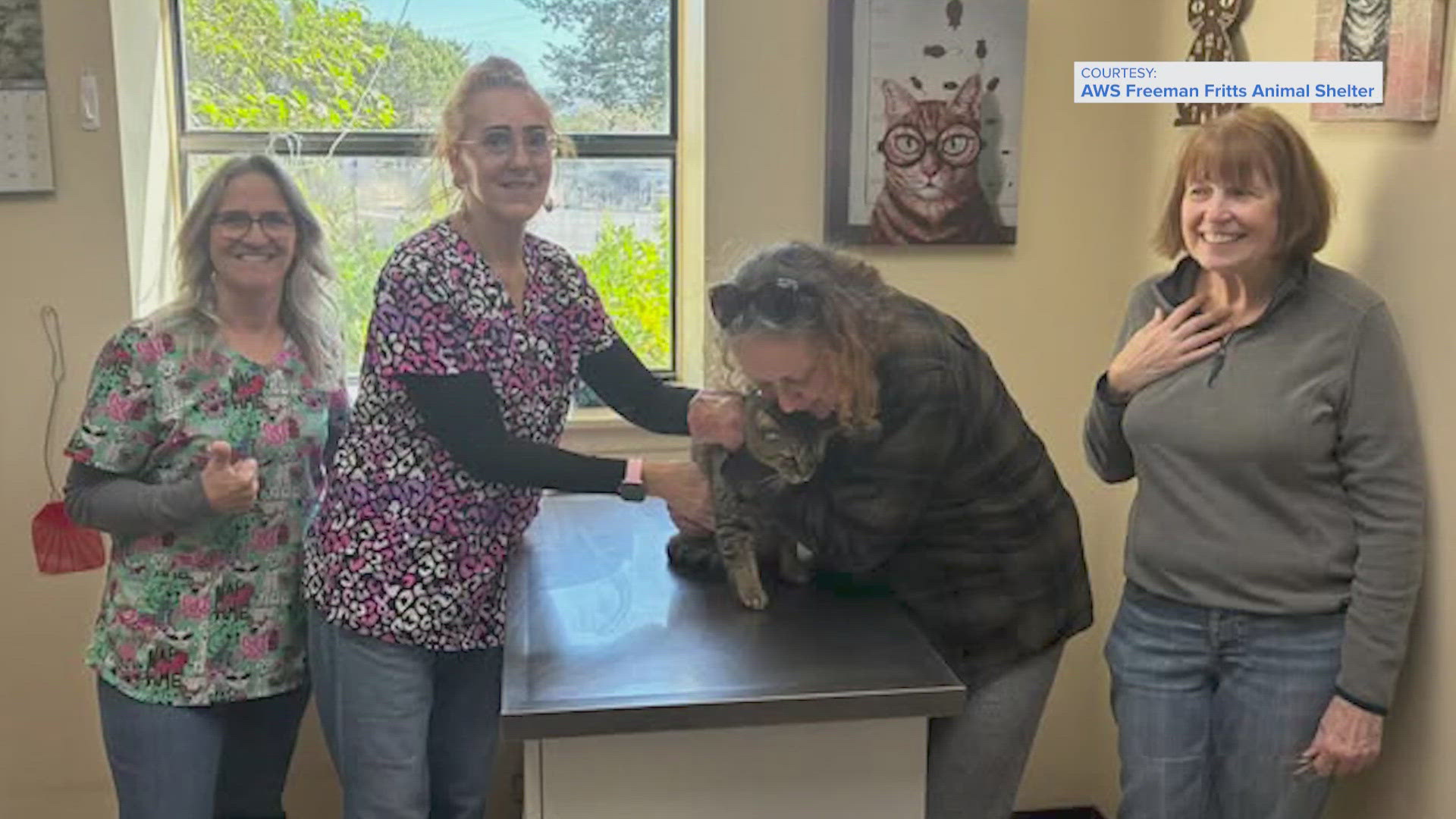 Cat lost after Texas floods finds her way home