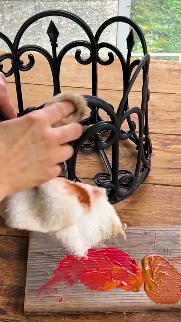 Turn a Dollar Tree fence panel into this!