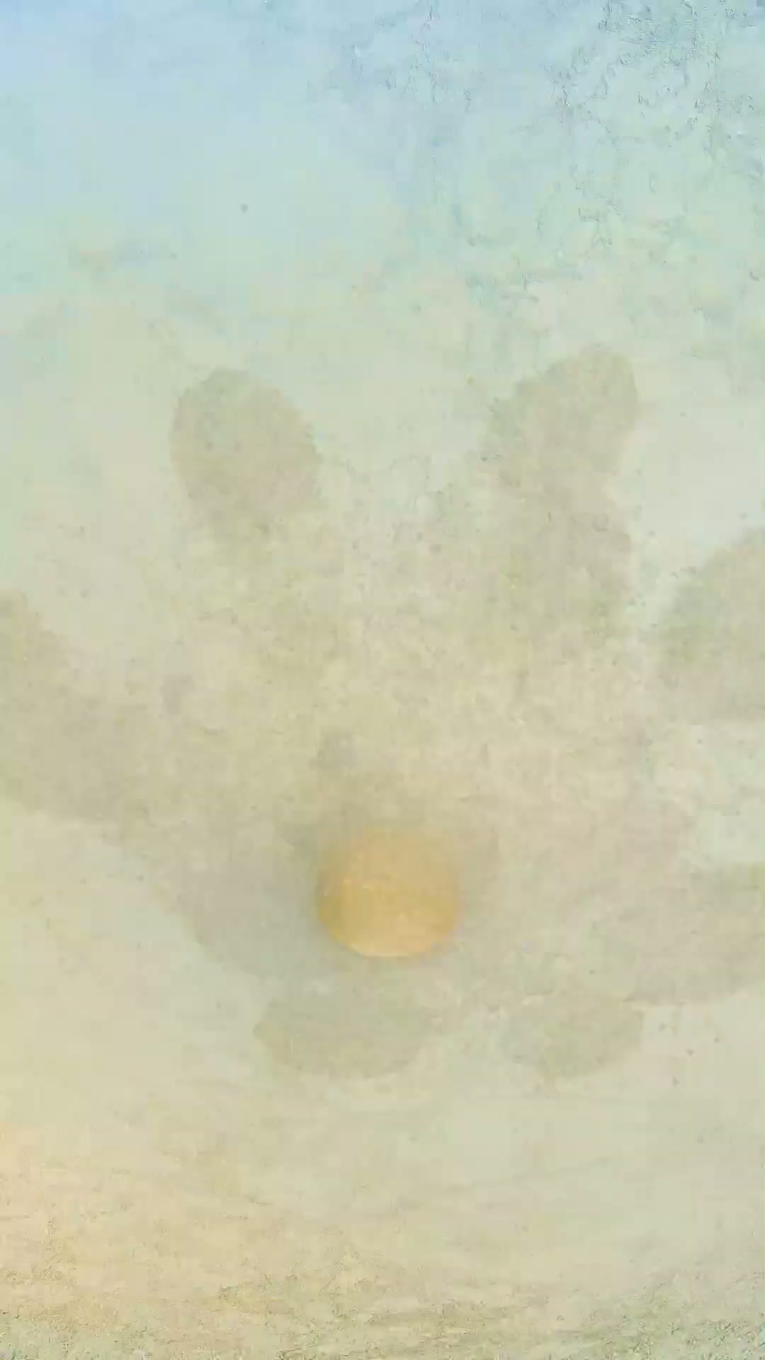 3D bottle simulation