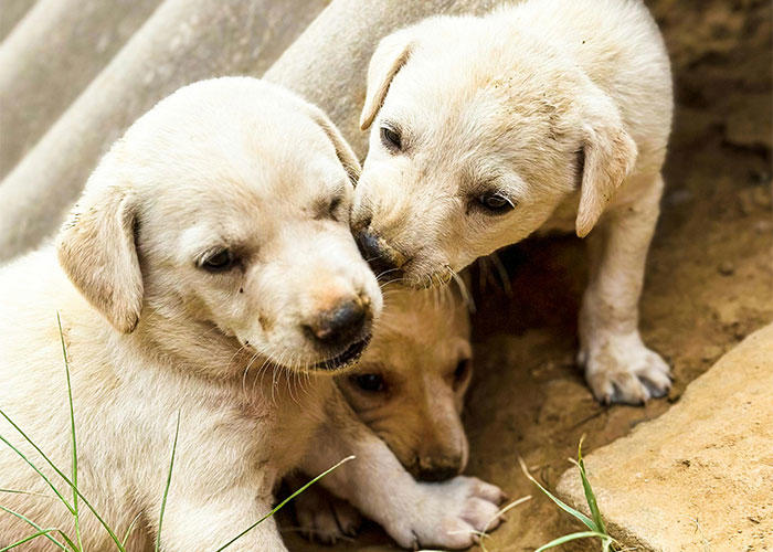 Rural folks, what are the things city folks won’t understand? (50 answers)